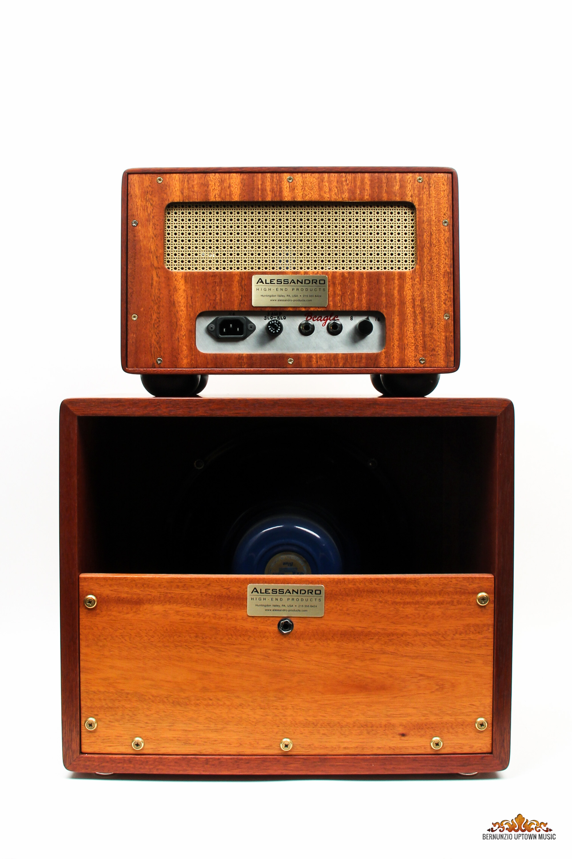 Alessandro Beagle #2